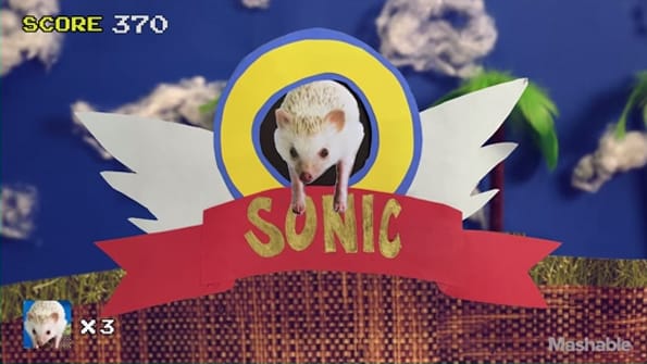 Sonic The Hedgehog IRL