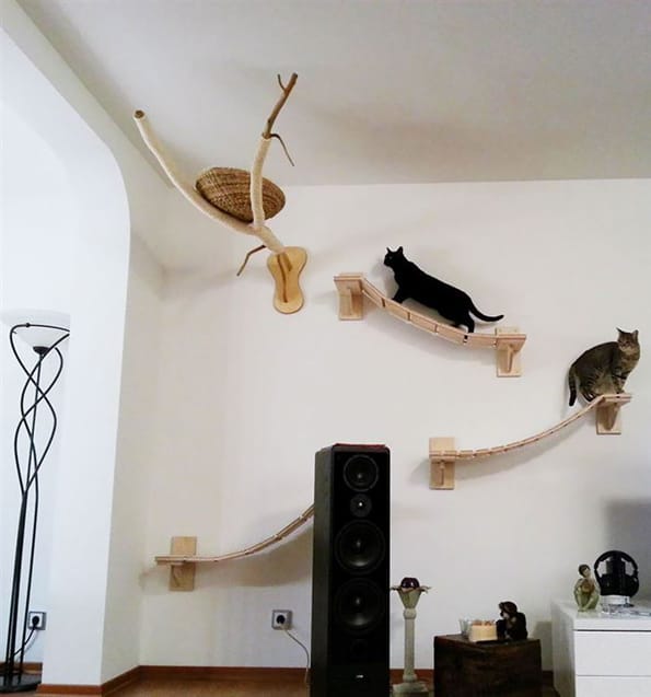 These Overhead Playgrounds For Cats Is A Kittys