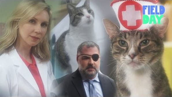 This Cat Soap Opera Is Better Than Any Soap Opera Ever