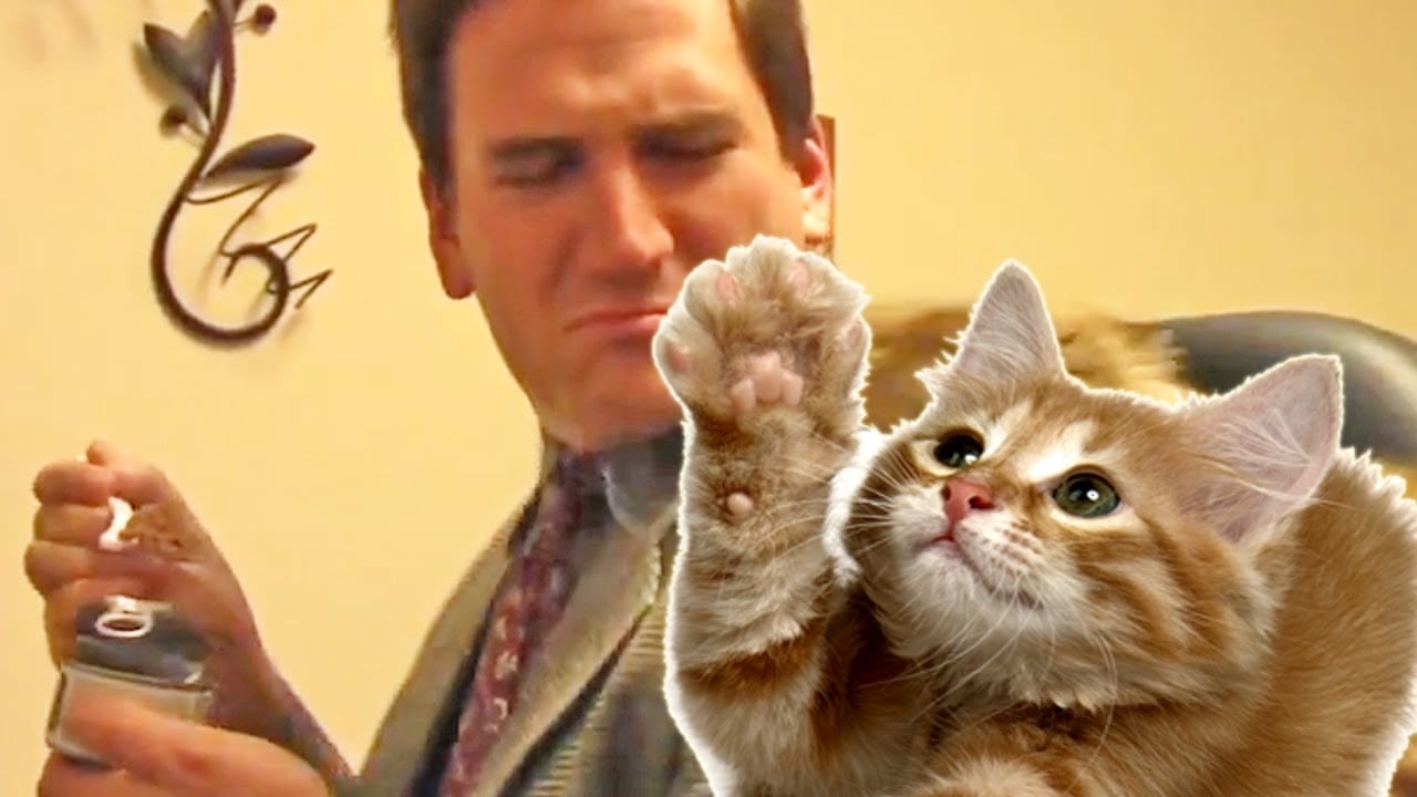 This Kooky Animal Shelter Commercial Is Just A Delight
