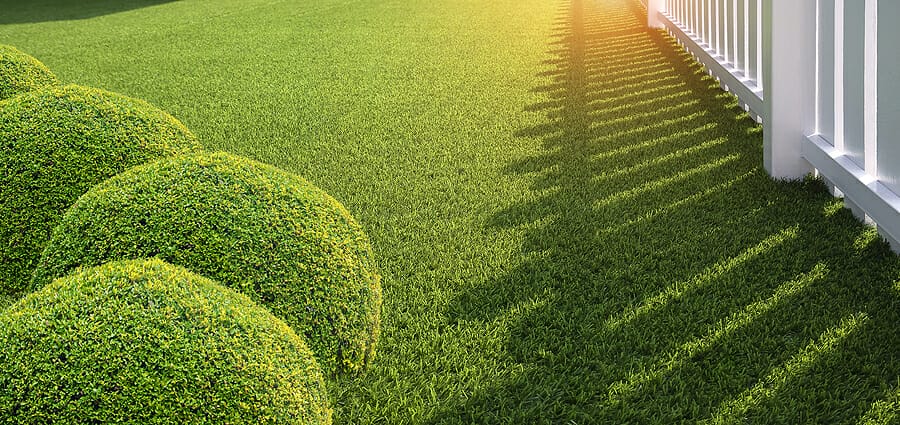 5 Types Of Artificial Turf Best For Households With...